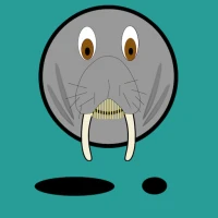 Morse Code Encoder & Decoder APK indir